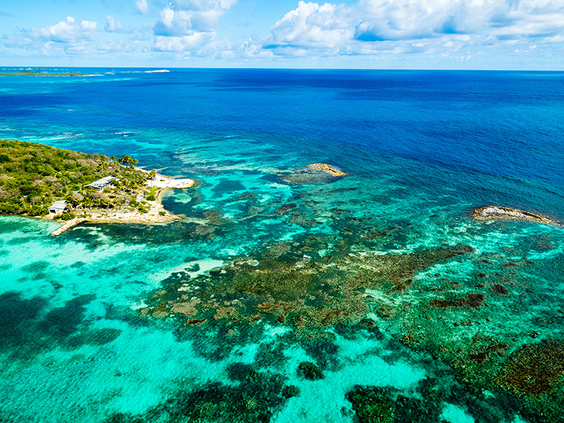 Spring Visit to Antigua - CBMAC